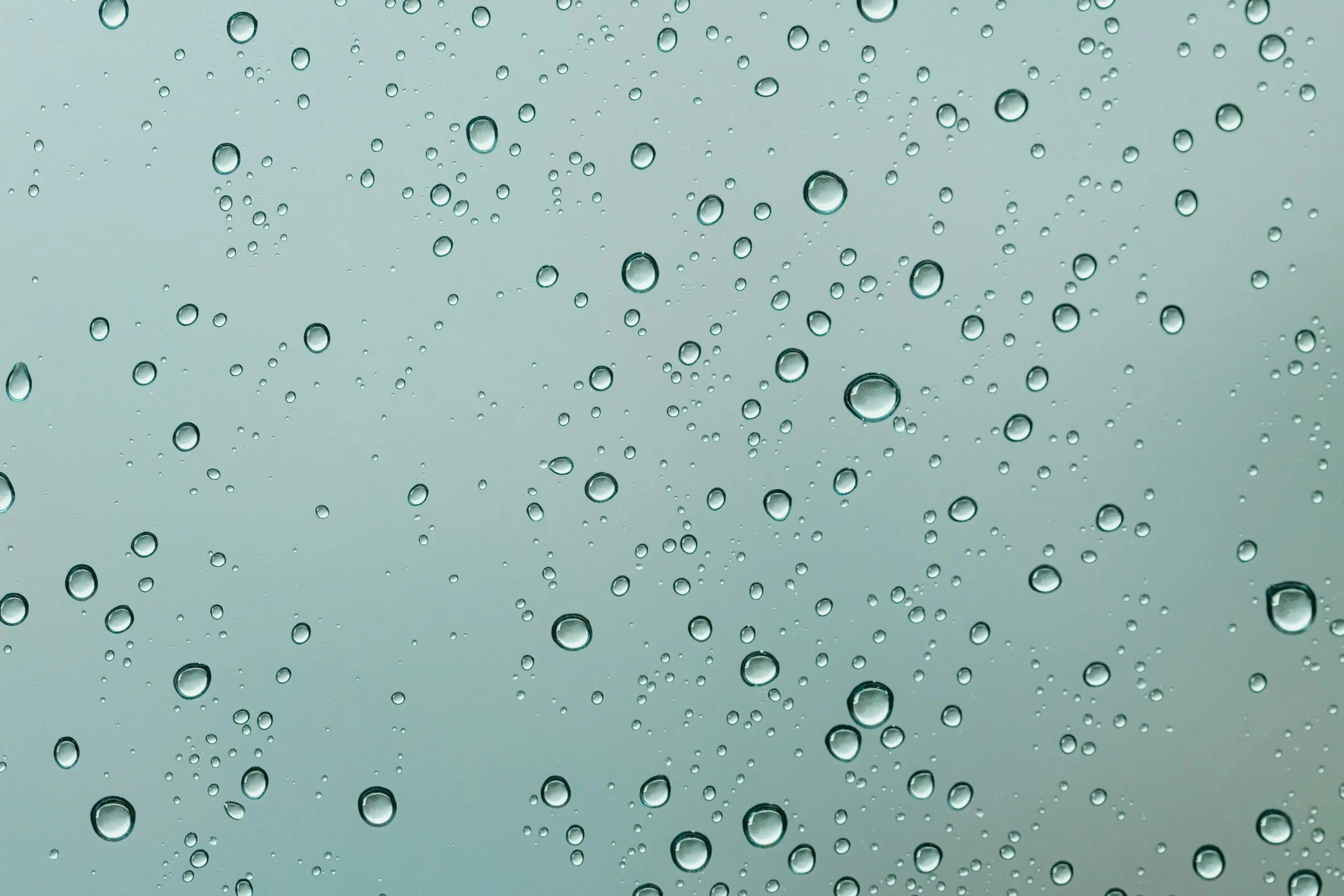 Embracing the Essence of Renewal: Rain and the Scent of Opportunity